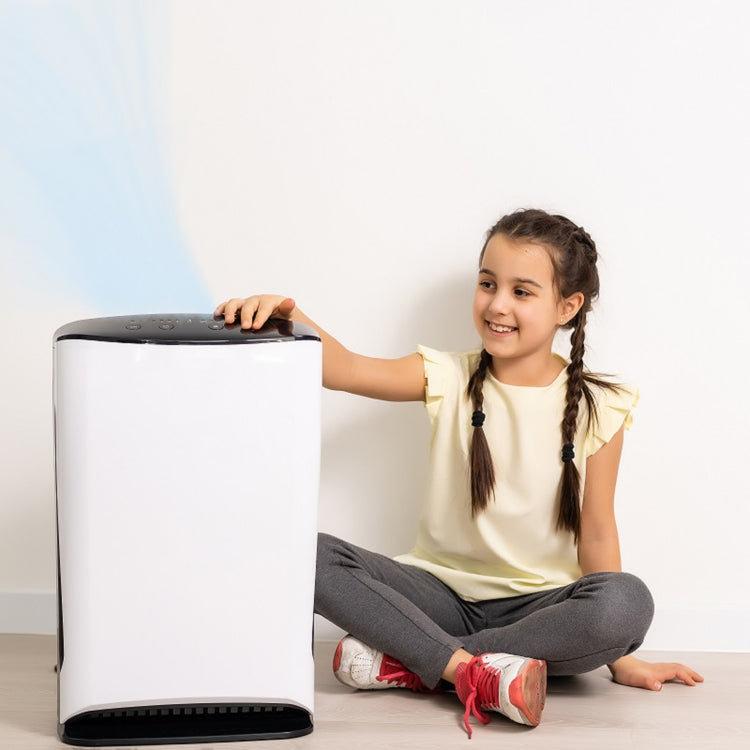 How to Clean an Air Purifier Filter in 5 Steps | Town Appliance